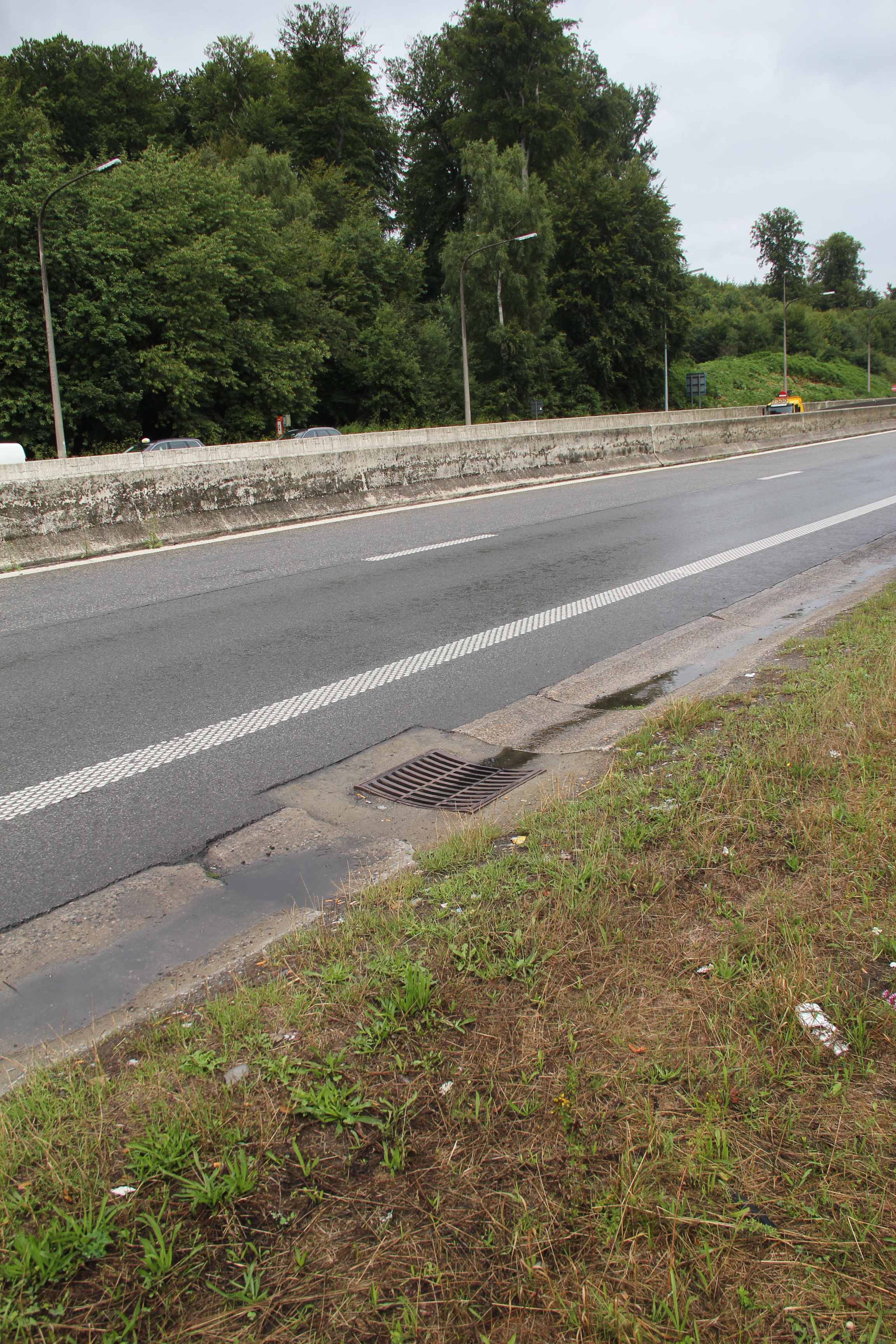 Zuivering van vervuild, afstromend wegwater - LIFE Belini