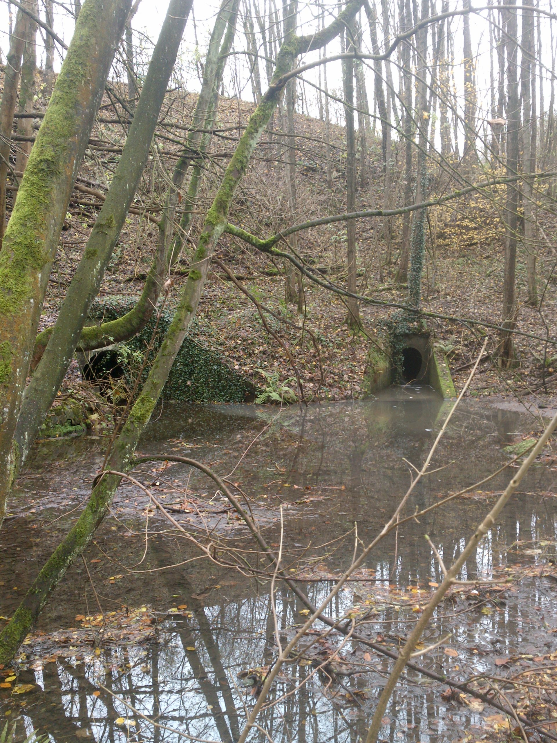 Zuivering van vervuild, afstromend wegwater - LIFE Belini